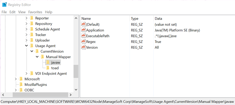 Application usage metering using the FlexNet inventory agent